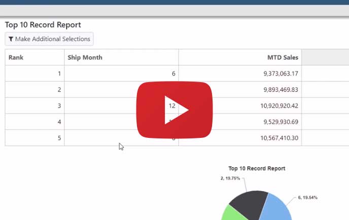 How to create a custom BI/Reporting suite (with write-back and data ...